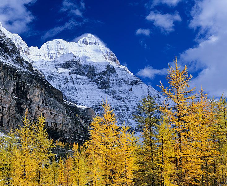 James Kay – Artist Gallery – Pentax