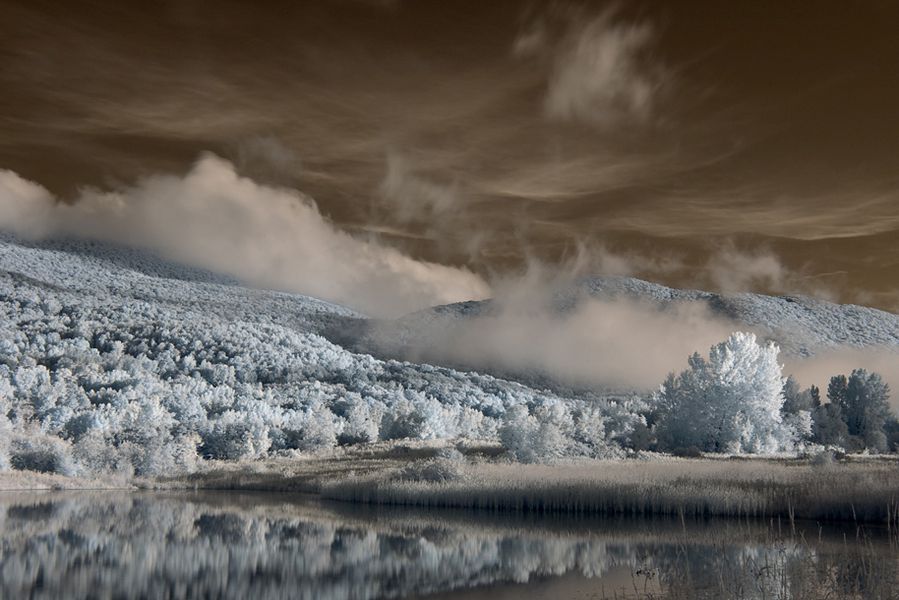 Daniel Morgan – Artist Gallery – Pentax