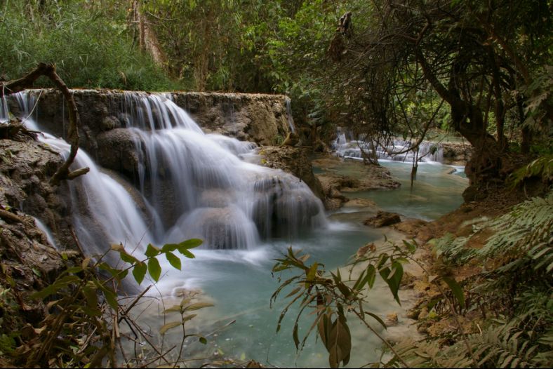 Philip Tomlin – Artist Gallery – Pentax