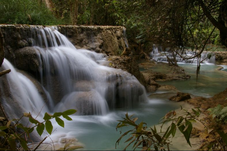 Philip Tomlin – Artist Gallery – Pentax