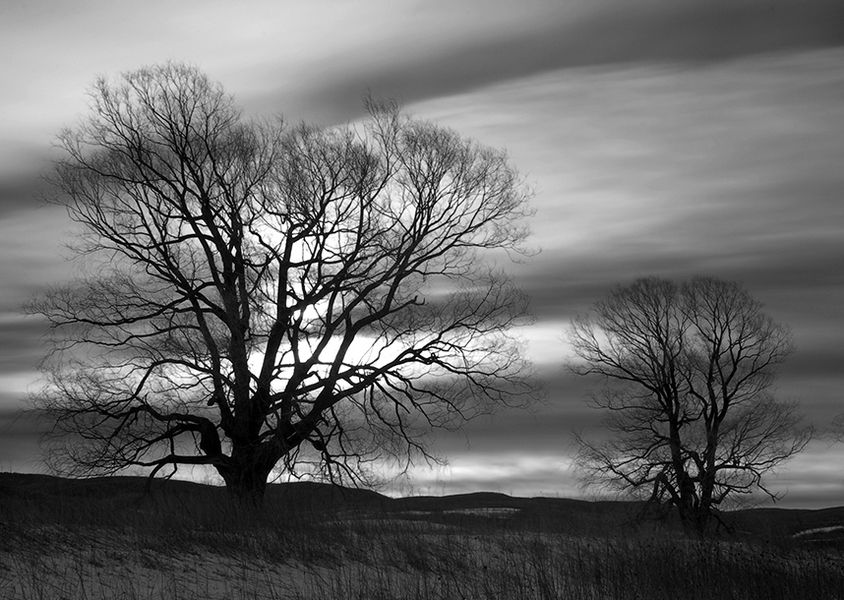 Daniel Morgan – Artist Gallery – Pentax