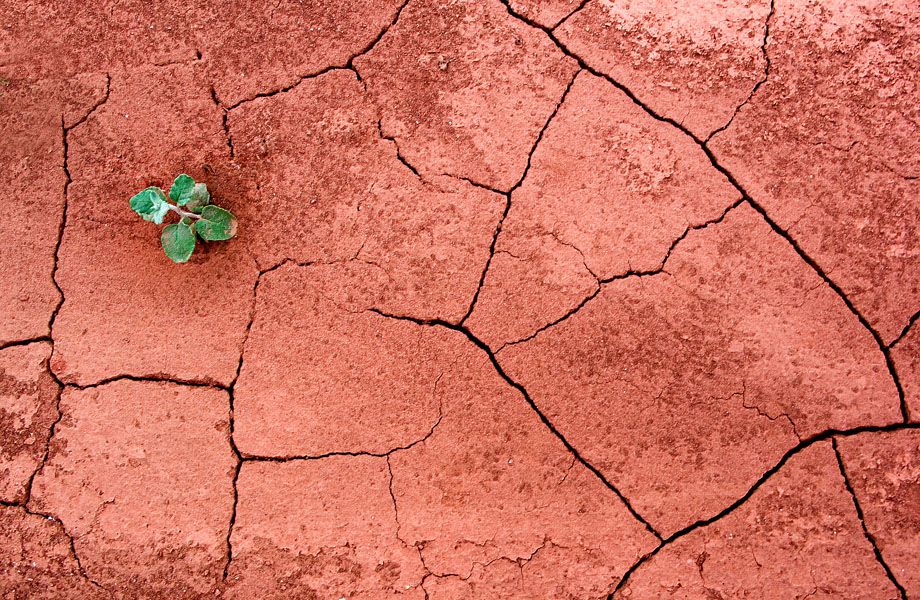 Matt Mathews – Artist Gallery – Pentax