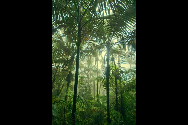 Xavier Cuevas – Artist Gallery – Pentax