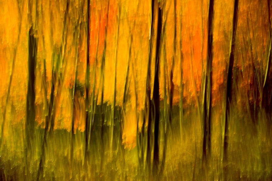 georg w purvis 3 – Artist Gallery – Pentax