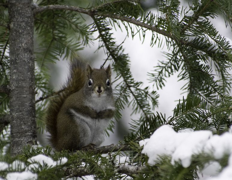 John Robinson – Artist Gallery – Pentax