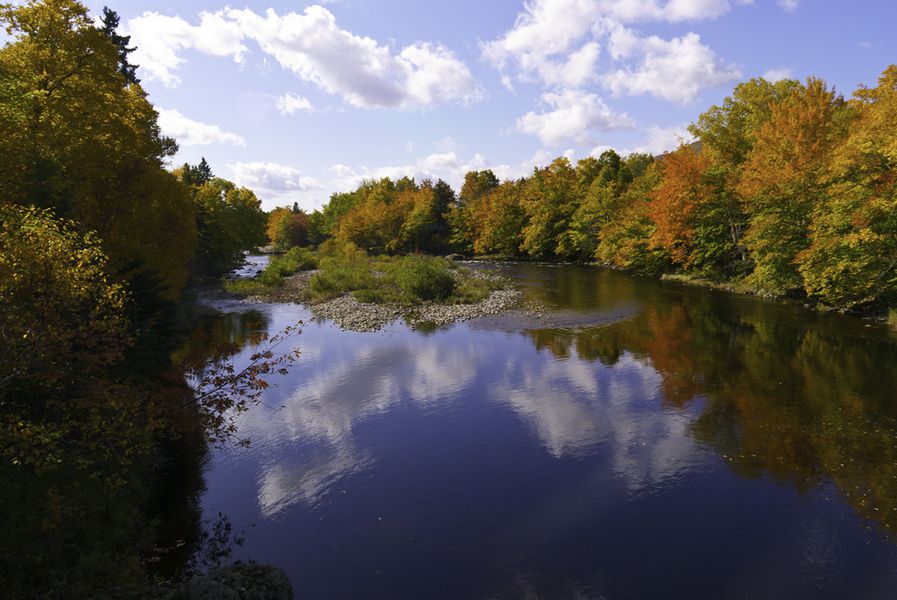 John Robinson – Artist Gallery – Pentax