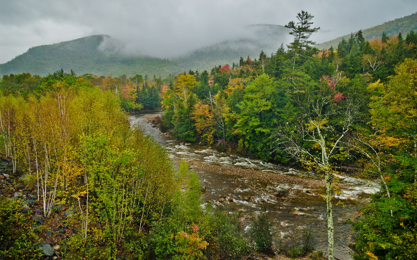 Leng-Feng Lee – Artist Gallery – Pentax