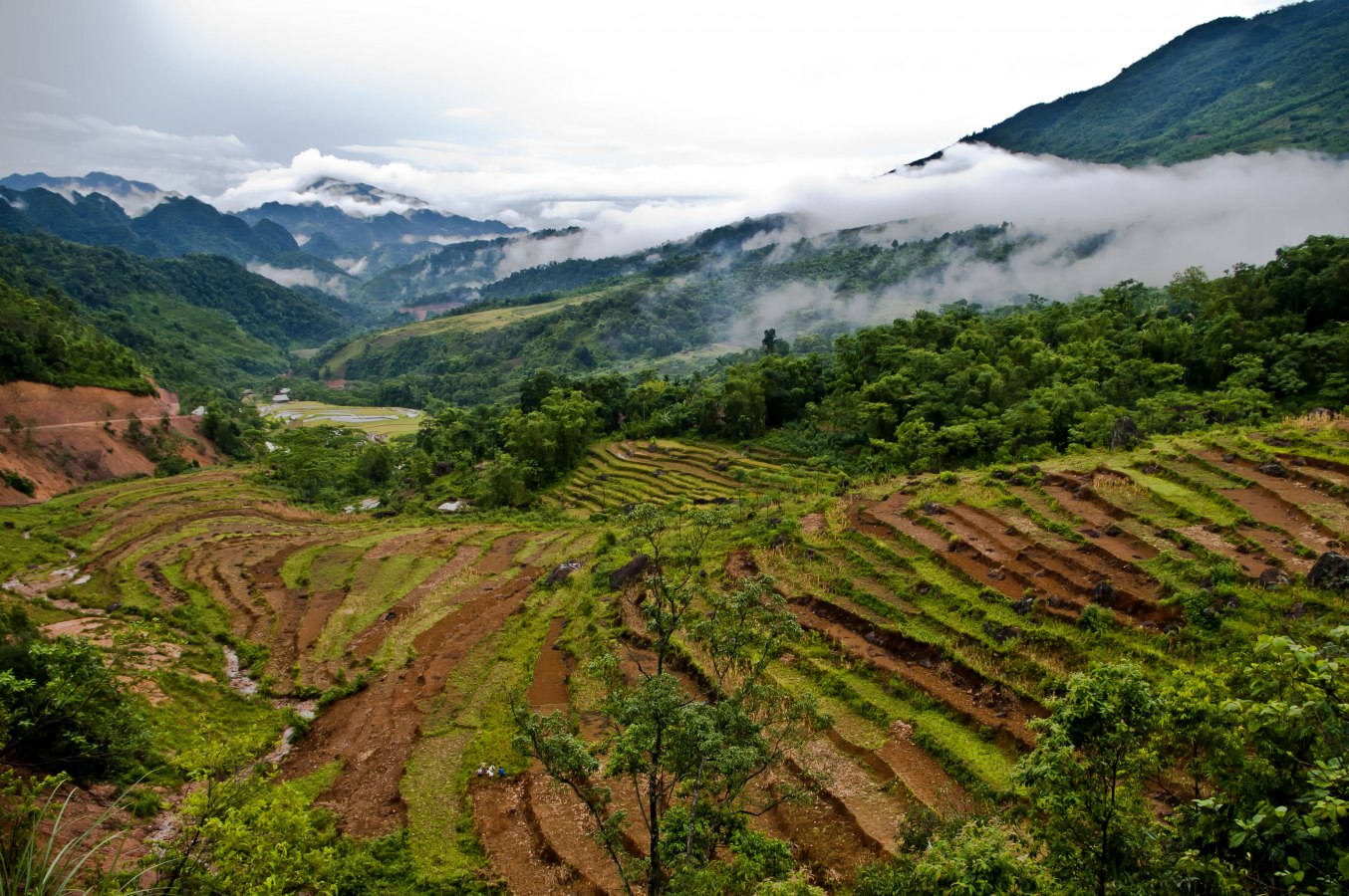 Dat Hoang – Artist Gallery – Pentax