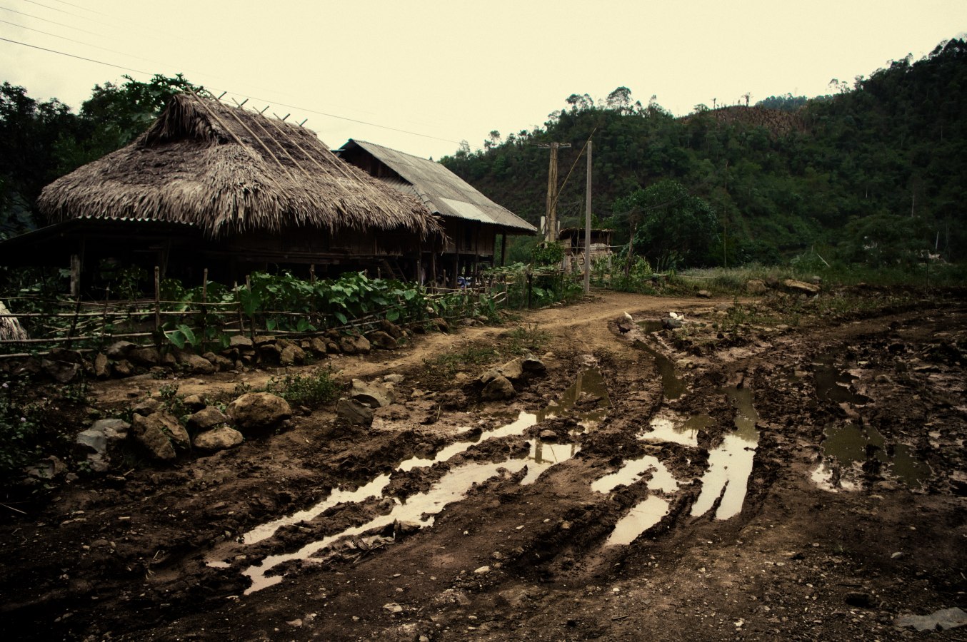 Dat Hoang – Artist Gallery – Pentax