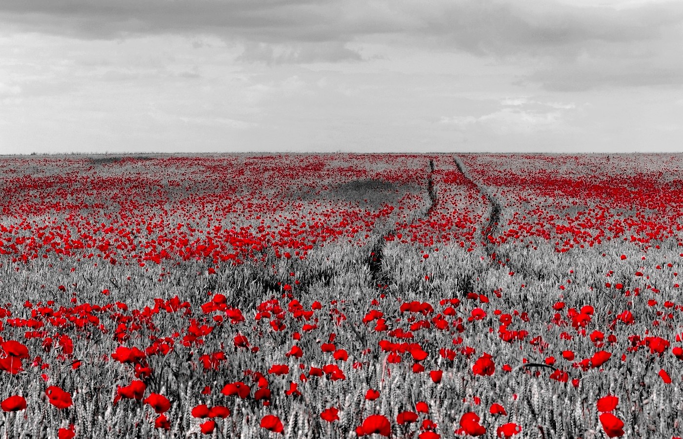 Marc REMY – Artist Gallery – Pentax