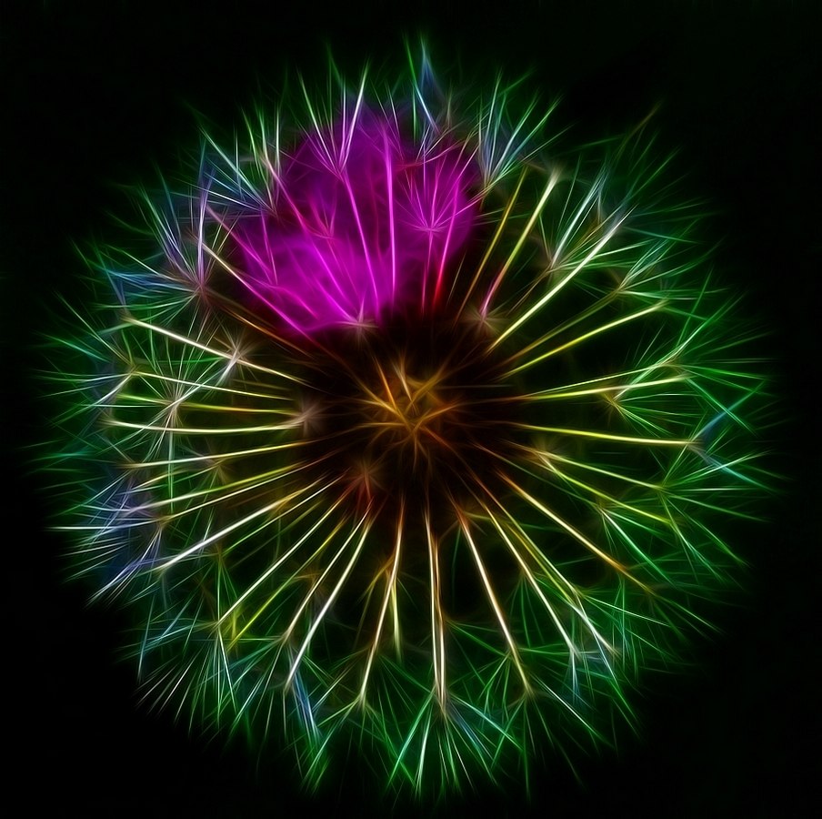 Marc REMY – Artist Gallery – Pentax