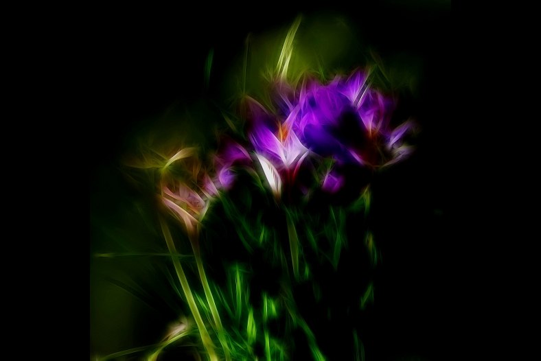 Marc REMY – Artist Gallery – Pentax