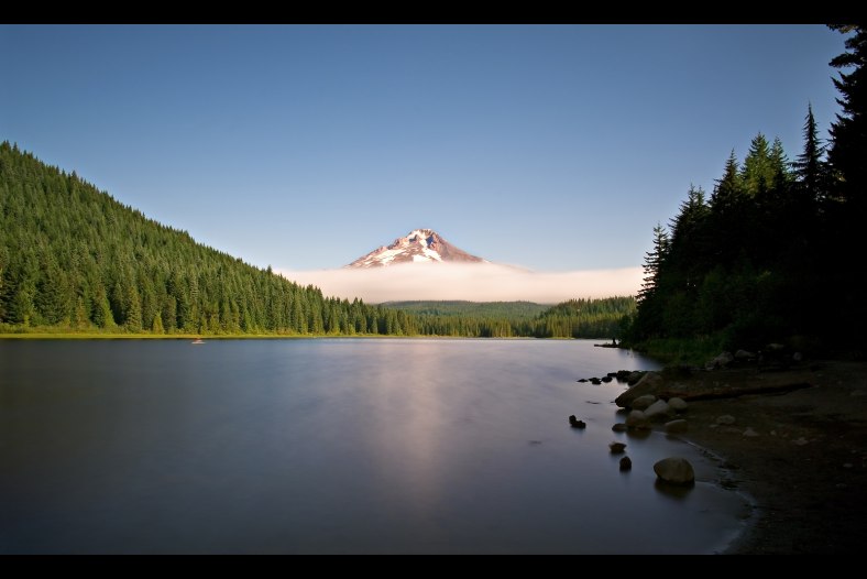 David Wang – Artist Gallery – Pentax