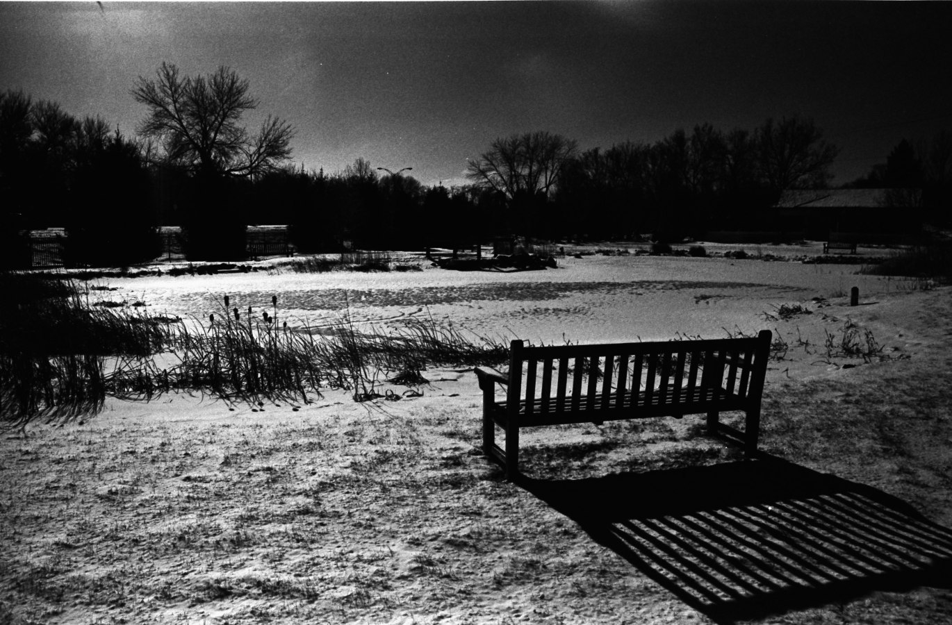 Ben Tang – Artist Gallery – Pentax