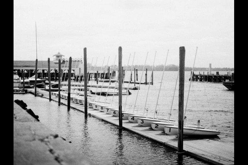 Alan Abrams – Artist Gallery – Pentax