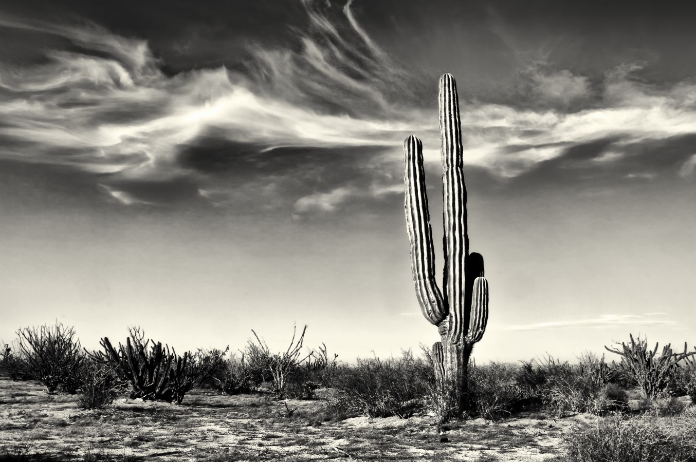 Jose Renteria C. – Artist Gallery – Pentax