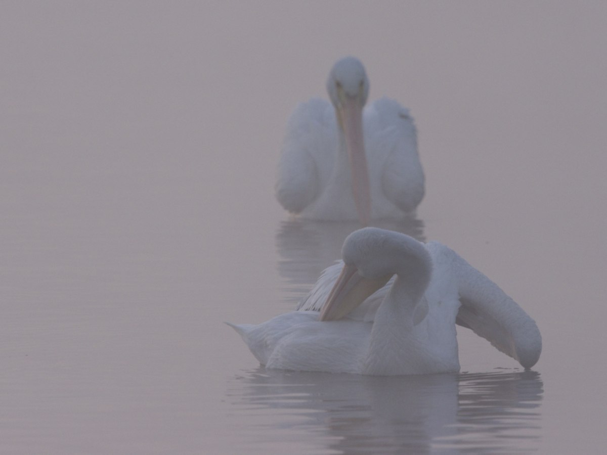 Sergey Grekov – Artist Gallery – Pentax