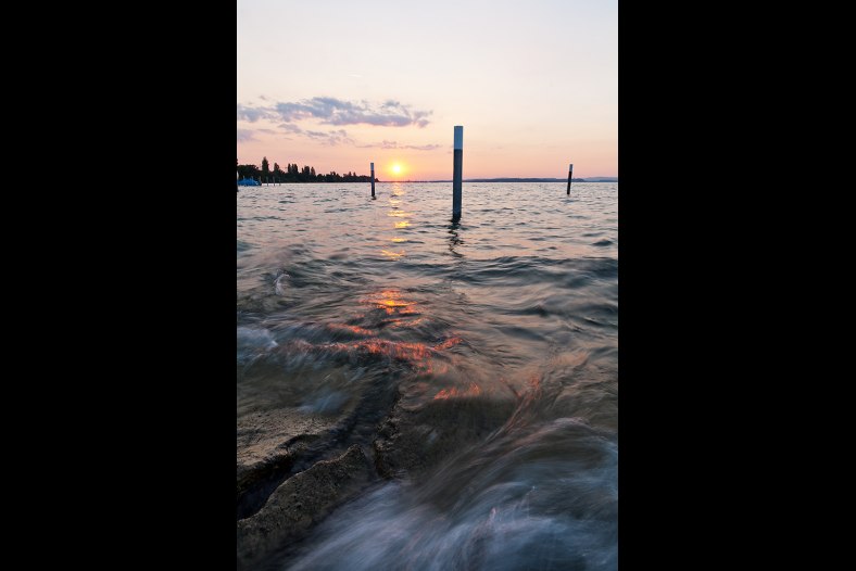 David Witte – Artist Gallery – Pentax