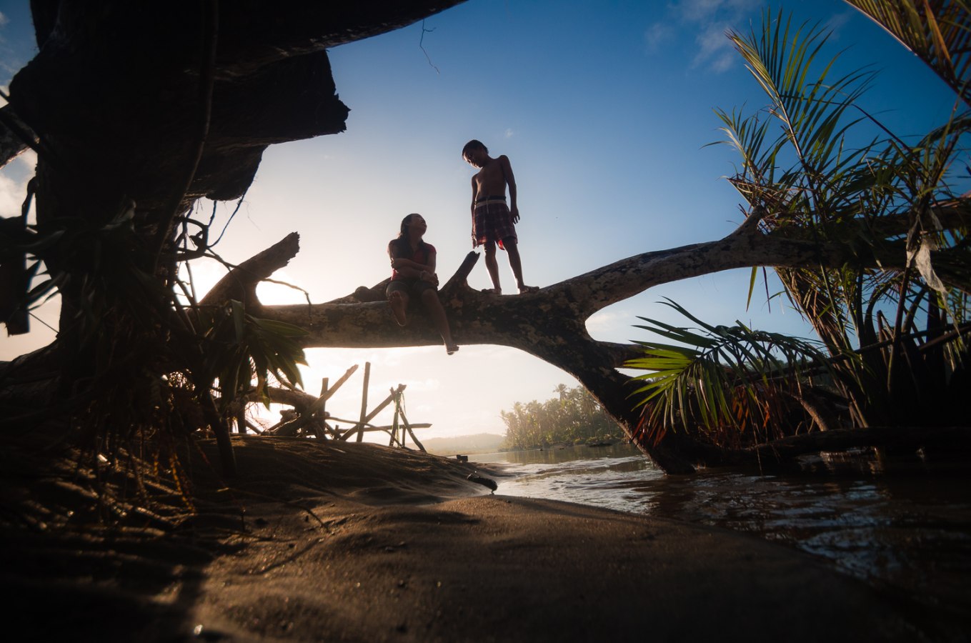 Richard Balonglong – Artist Gallery – Pentax