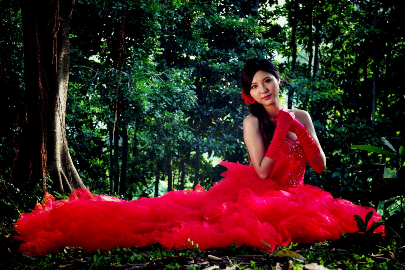 Peter Lai – Artist Gallery – Pentax