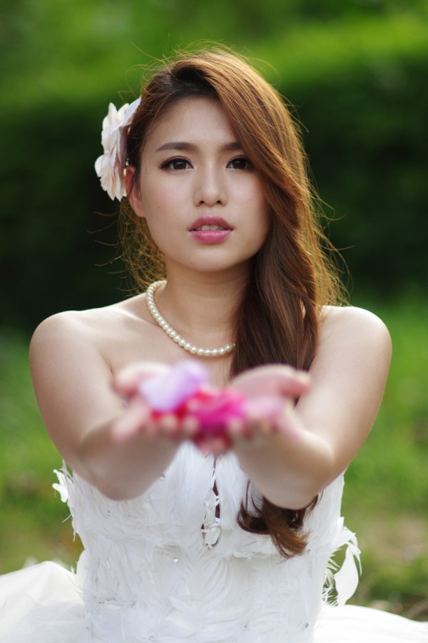 Peter Lai – Artist Gallery – Pentax