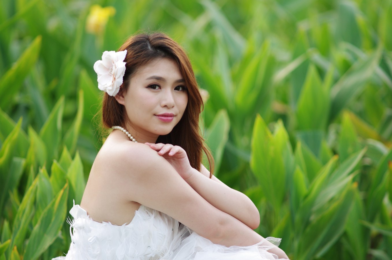 Peter Lai – Artist Gallery – Pentax