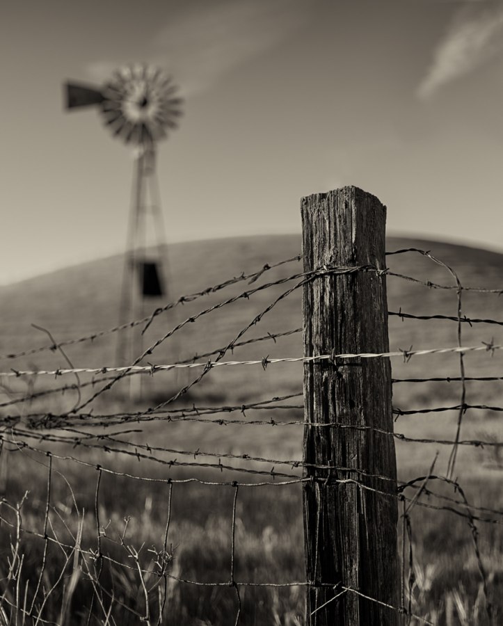 Mike Oria – Artist Gallery – Pentax