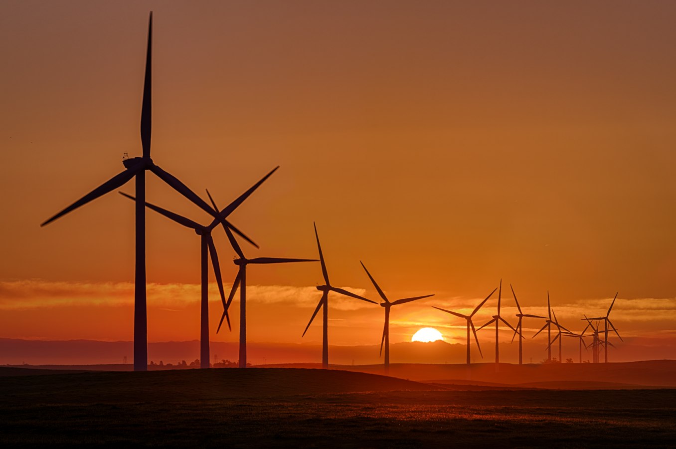 Mike Oria – Artist Gallery – Pentax