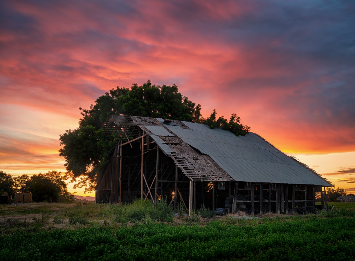 Mike Oria – Artist Gallery – Pentax