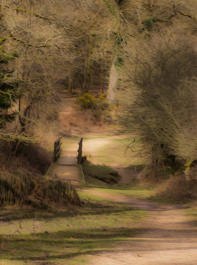 Stephen Coe – Artist Gallery – Pentax
