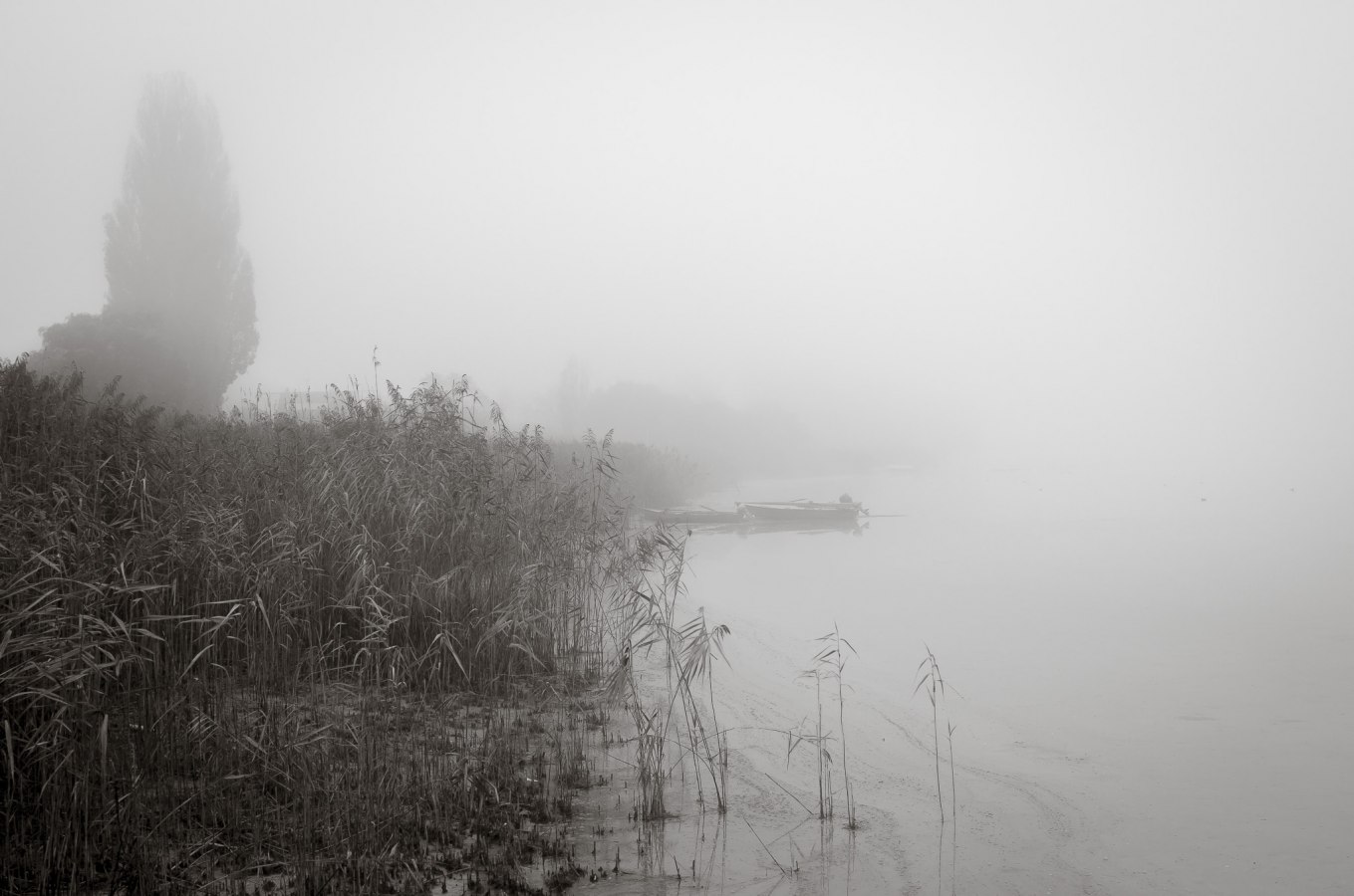 Thomas Westermeier – Artist Gallery – Pentax