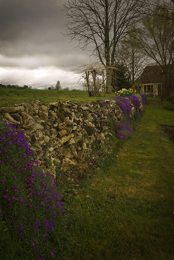 Colin Blunt – Artist Gallery – Pentax