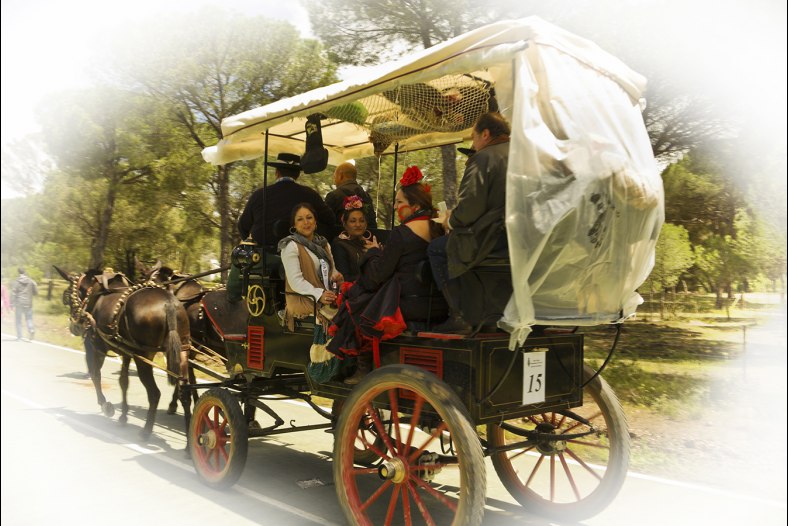 Colin Blunt – Artist Gallery – Pentax