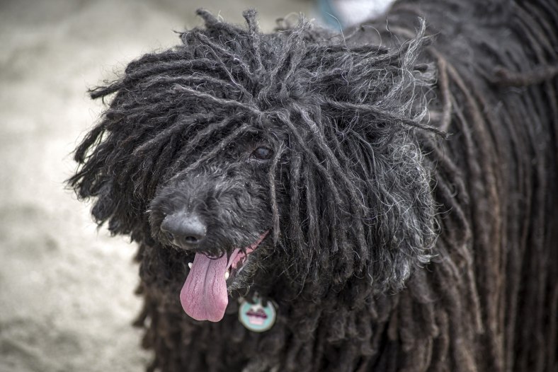 David Hancock – Artist Gallery – Pentax