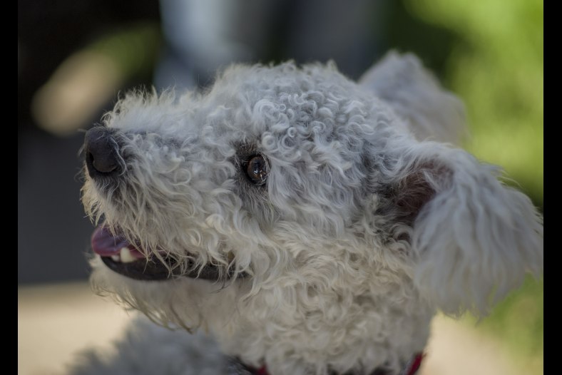 David Hancock – Artist Gallery – Pentax