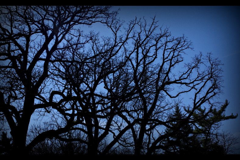 Frank J Casella – Artist Gallery – Pentax