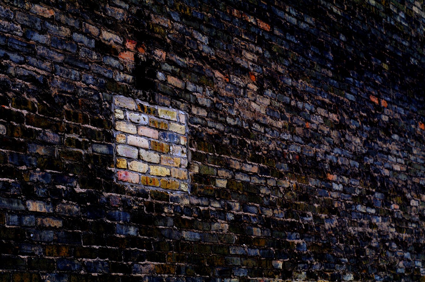 Stephen Merola – Artist Gallery – Pentax